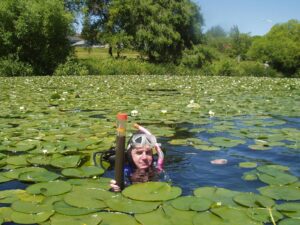 Water Quality – Friends of Green Lake